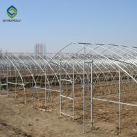 China 0.5KN/M2 Clear Polythene 4m Single Tunnel Greenhouse for sale