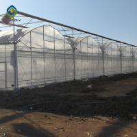 China Tomato 0.15mm Polyethylene Film Multi Span Greenhouse for sale