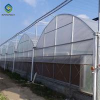 China Tomato 0.15mm Polyethylene Film Multi Span Greenhouse for sale