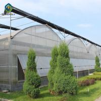China Tomato 0.15mm Polyethylene Film Multi Span Greenhouse for sale
