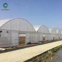 China Steel Frame Double Arch 4.5m Multi Span Greenhouse for sale