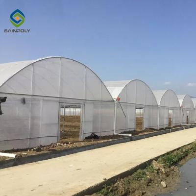 China Steel Frame Double Arch 4.5m Multi Span Greenhouse for sale