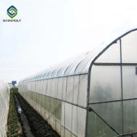 China Farm Equipment Vegetables 60m Clear Plastic Greenhouse for sale