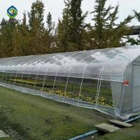 China Farm Equipment Vegetables 60m Clear Plastic Greenhouse for sale
