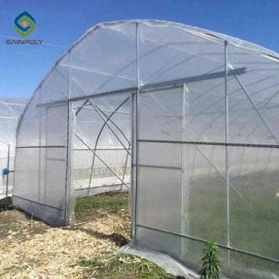 China Farm Equipment Vegetables 60m Clear Plastic Greenhouse for sale