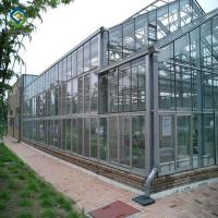China 6m Vegetable Plant Commercial Hermetic Glass Greenhouse Multi Span for sale