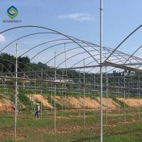 China Heavy Duty 9.0m Span Plastic Film Greenhouse With Ventilation System for sale