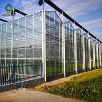 China Large Size Generator Plastic Sheet Greenhouse With Project Commercial Hydroponic Systems for sale