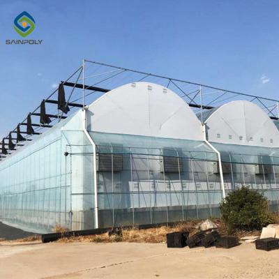 China Sawtooth Top Ventilation Agricultural Glass Greenhouse 9.6m Multi Span for sale