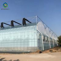 China Sawtooth Top Ventilation Agricultural Glass Greenhouse 9.6m Multi Span for sale