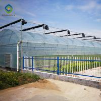 China Flowers Planting Clear Film 9m Multi Span Greenhouse Sturdy Stable for sale