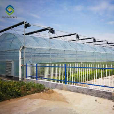 China Flowers Planting Clear Film 9m Multi Span Greenhouse Sturdy Stable for sale