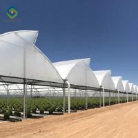 China Sided Ventilation 12m Multi Span Commercial Outdoor Greenhouse Wind Resistant for sale