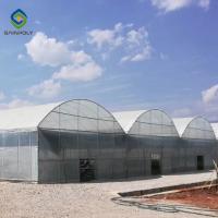 China Sided Ventilation 12m Multi Span Commercial Outdoor Greenhouse Wind Resistant for sale