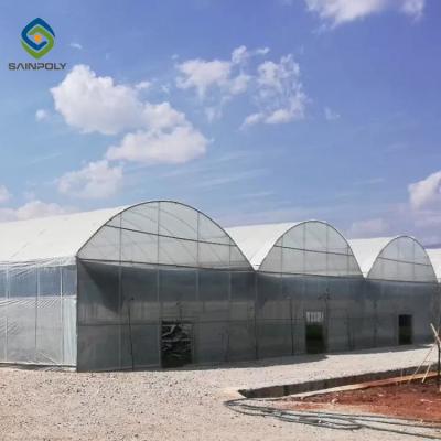 China Sided Ventilation 12m Multi Span Commercial Outdoor Greenhouse Wind Resistant for sale