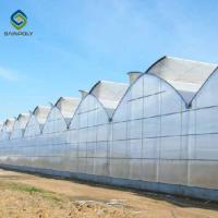 China Agriculture Planting Large Plastic Film Multi Span Greenhouse 5.3m for sale