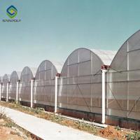 China Agriculture Planting Large Plastic Film Multi Span Greenhouse 5.3m for sale