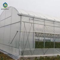 China Large Double Arch 4.5m Multi Span Greenhouse Stable Structure Layer 0.15 Film for sale