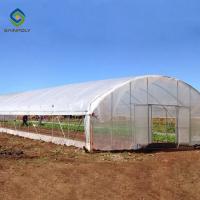 China 10m × 12m Plastic Single Tunnel Greenhouse For Growing Vegetables for sale
