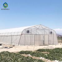 China 10m × 12m Plastic Single Tunnel Greenhouse For Growing Vegetables for sale