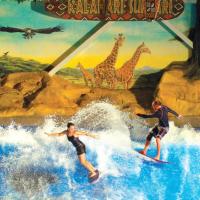 China Double / Single Flowrider Water Ride Blue Colored Surfing Simulator Machine With Fiberglass Material for sale