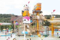 China Safe Pirate Ship Medium Water Play Equipment Funny Slide Resort for sale