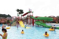 China Children'S Outdoor Play Equipment , Commercial Playground Equipment SW-AB IV for sale