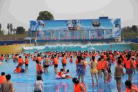 China Water Park Wave Pool Equipment , Waterpark Wave Machine For Family Fun in Aqua Park for sale