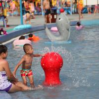 China Customized Carp Carton Spray Park Equipment For Children / Kids Fun in Swimming Pool for sale