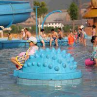 China Water Playground Equipment，Fiberglass Hedgehog Spray Aqua Play Game for sale