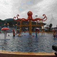 China Colorful Octopus Water Playground Equipment 6100*6100*5000 For Family Recreation for sale