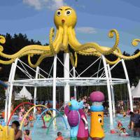 China Colorful Octopus Water Playground Equipment 6100*6100*5000 For Family Recreation for sale