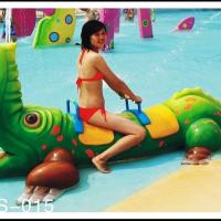 China Spray Crocodile Aqua Play, Water Sprayground Equipment, Aqua Park Equipments for sale