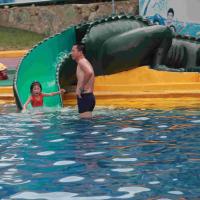China Water Park Equipment Crocodile Slide , Commercial Small Fiberglass Water Slide for sale
