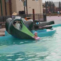 China Fiberglass Water Park Equipment Cartoon Crocodile Slide For Children / Customized Water Slide for sale