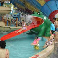 China Frog Shaped Water Pool Slides , Aqua Park Fiberglass Slide Water Play Games for Water park for sale