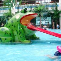 China Frog Shaped Water Pool Slides , Aqua Park Fiberglass Slide Water Play Games for Water park for sale