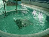 China Corrosion-resistant SPA Hydrotherapy Equipment with Hot-dip Galvanized Steel Structure and Intelligent Control System for sale