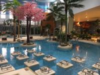 China Corrosion-resistant SPA Hydrotherapy Equipment with Hot-dip Galvanized Steel Structure and Intelligent Control System for sale