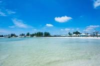 China Artificial Lagoon | Crystal-Clear Swimming Lagoon with Beach Entry for Resorts & Hotels for sale