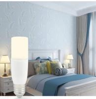 China 7W SMD2835 LED Light Bulb 560lm T50 Single Color Temperature for sale
