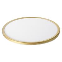 China 100lm/W Dimmable Living Room Ceiling Lights IP44 24W 16 Inch for sale