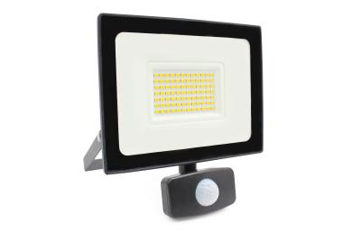 China ERP Waterproof Outdoor Flood Lights IP44 Aluminum Diecasting 30W Pir Floodlight for sale