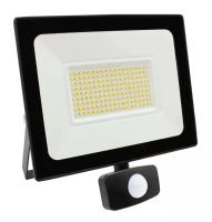 China Black 50W LED Floodlight With Motion Sensor Aluminum Diecast IP44 for sale