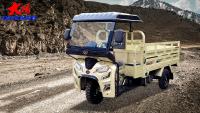 China 200cc Dayang Gasoline Cargo Tricycle with Three Wheels and Front Drum Rear Drum Brakes for sale