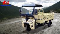 China 200cc Dayang Gasoline Cargo Tricycle with Three Wheels and Front Drum Rear Drum Brakes for sale