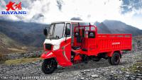 China DAYANG Delivery Tricycle with Full Floating Rear-Axle and Five Wheels in Cameroon for sale
