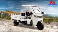 China Standard Size 3 Wheel Gasoline 200cc/250cc/300cc Motorcycle Engine Cabin Cargo Tricycle for sale