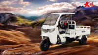 China Standard Size 3 Wheel Gasoline 200cc/250cc/300cc Motorcycle Engine Cabin Cargo Tricycle for sale