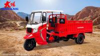 China 168 Full Floating Rear-Axle Gasoline Motorized Tricycles for Semi Cabin Cargo in Tunisia for sale
